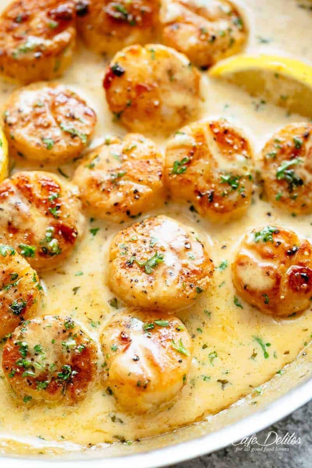 31 Scallops Recipes for an Unforgettable Main Course - The Cookie Writer